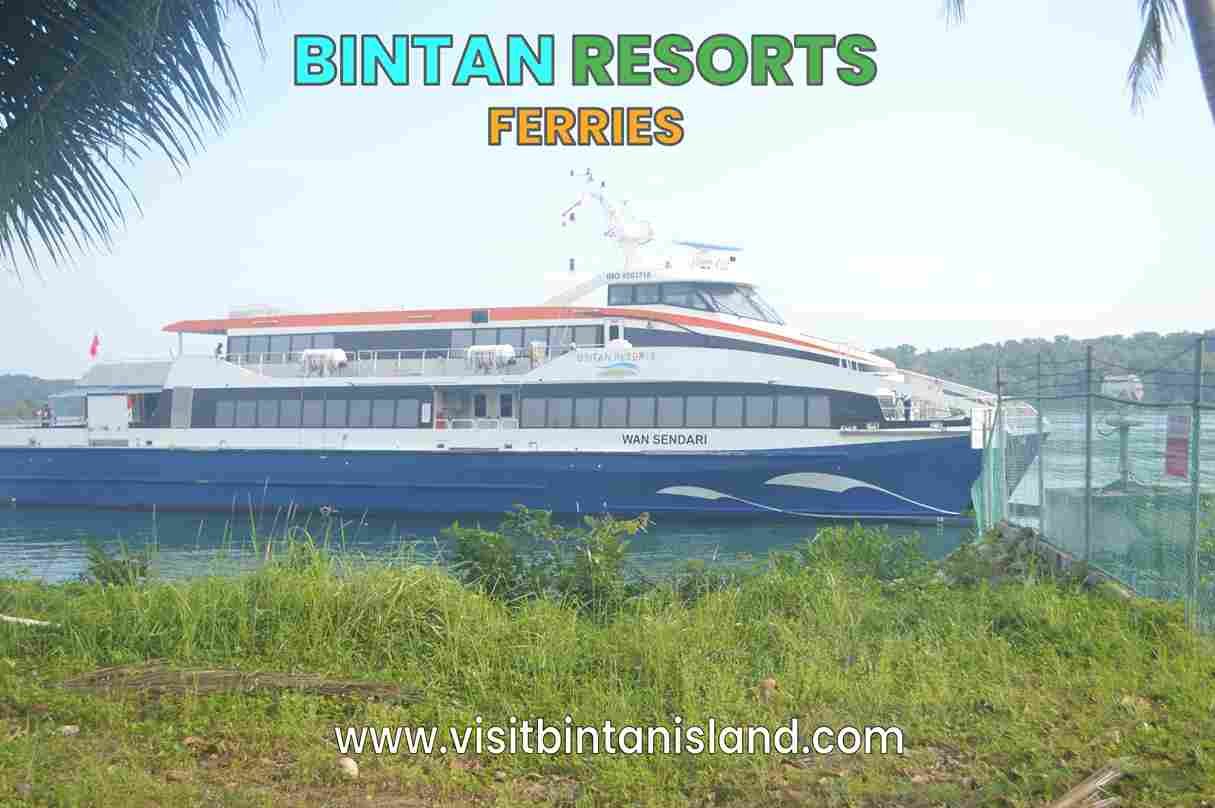 How to Go to Hotel Indigo Bintan Lagoi Beach from Singapore ...