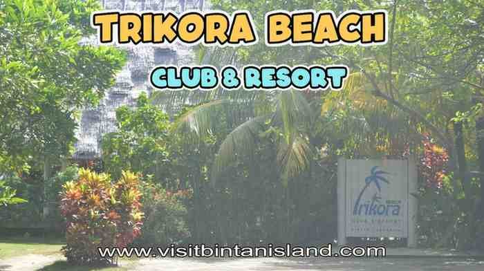 Bintan Ferry Terminal (BBT) to Trikora Beach Club and Resort, Expert ...